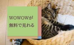 ネットからの登録なら無料トライアルOK！「WOWOWオンデマンド」について解説 | DTI