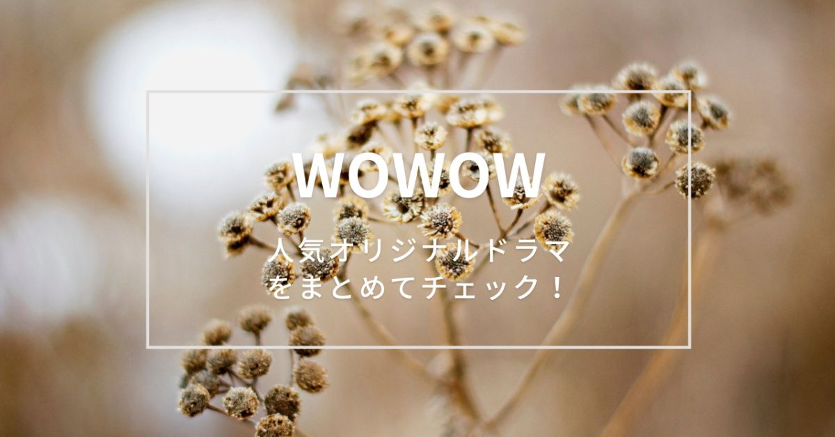 【2024年版】WOWOWのおすすめ人気ドラマをまとめてチェック！ “ドラマW”も必見 | DTI